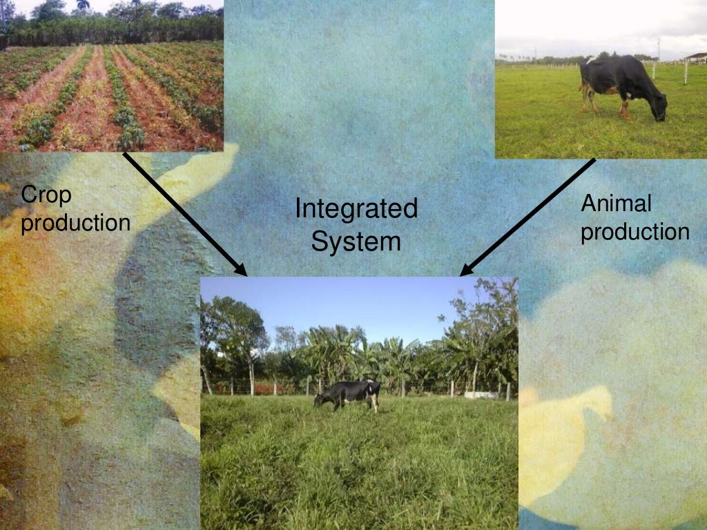 Agroecology: Principles and Practices