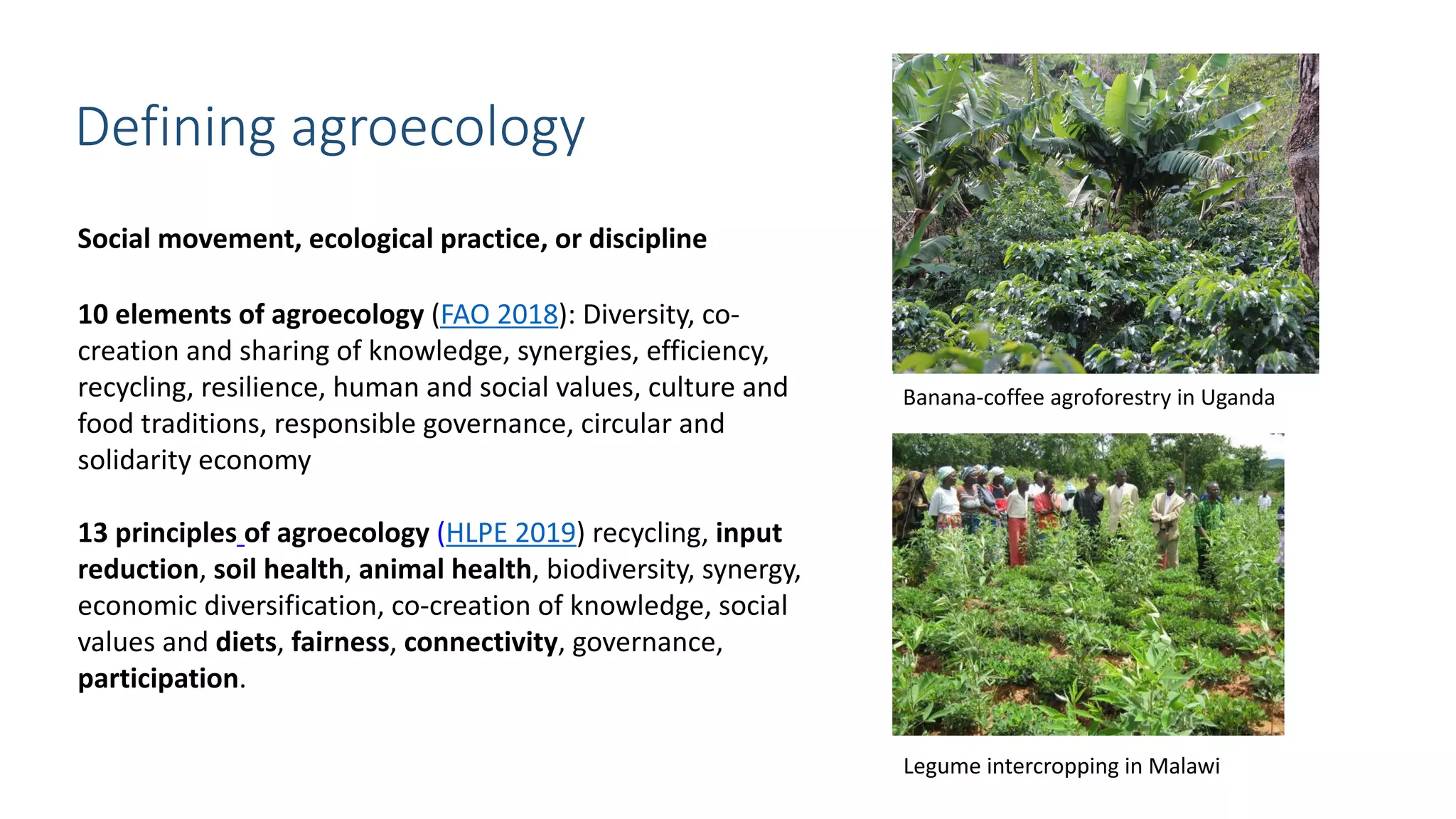 Climate Change Resilience and Agroecology: The Evidence | PPT Climate Change Resilience and Agroecology: The Evidence | PPT