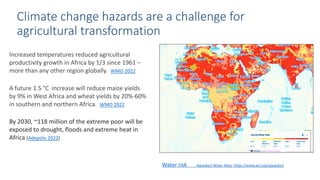 Climate Change Resilience and Agroecology: The Evidence | PDF