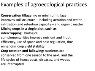 Agroecology | PPTX