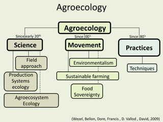 “Diversify & minimize”: Agroecological approaches for greenhouse gases ...