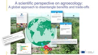 Announcement: Economic performance and climate change mitigation ...