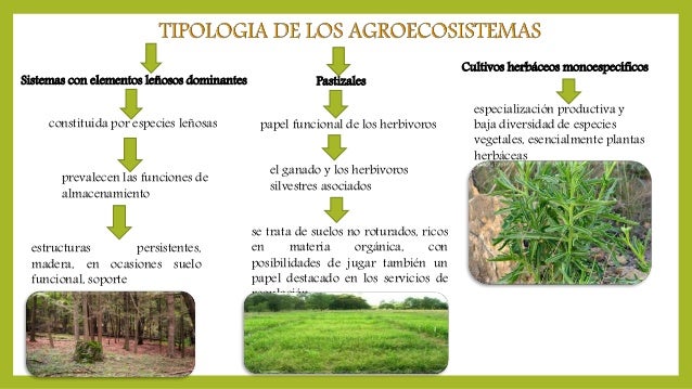 Agroecosistemas