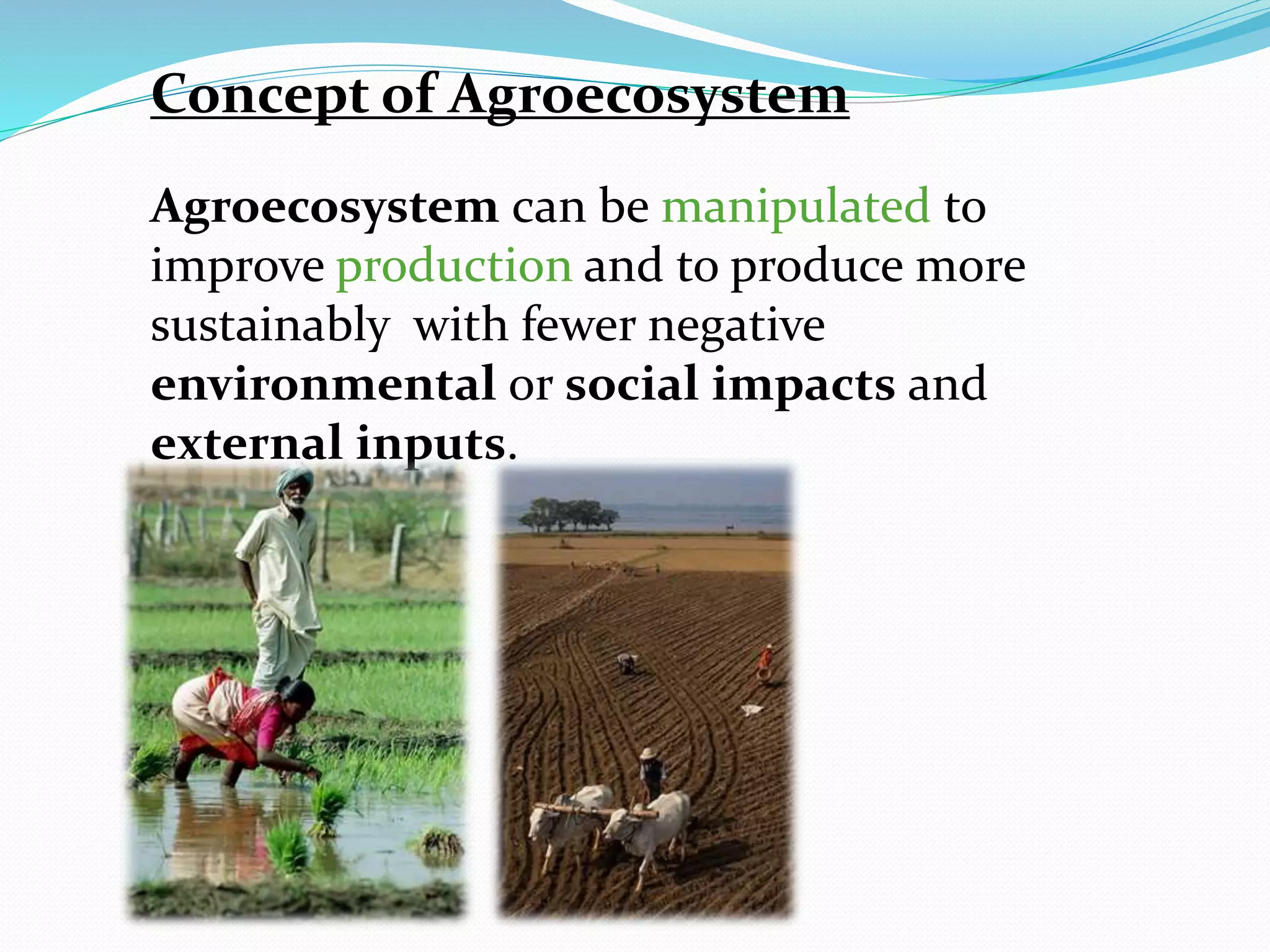 Agro ecosystem PPT (M.sc Zoology third semester) | PPTX