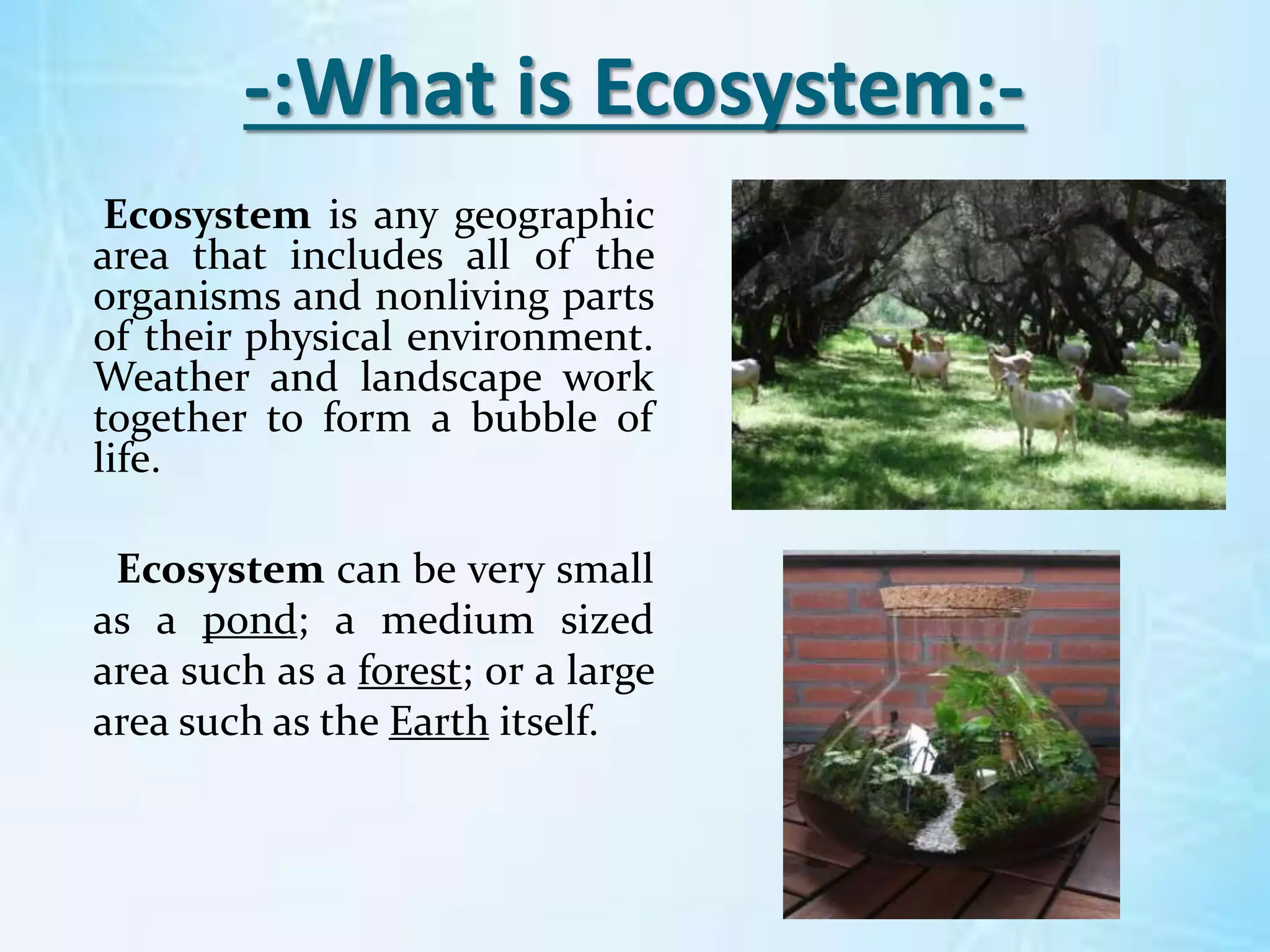 Agro ecosystem PPT (M.sc Zoology third semester) | PPTX