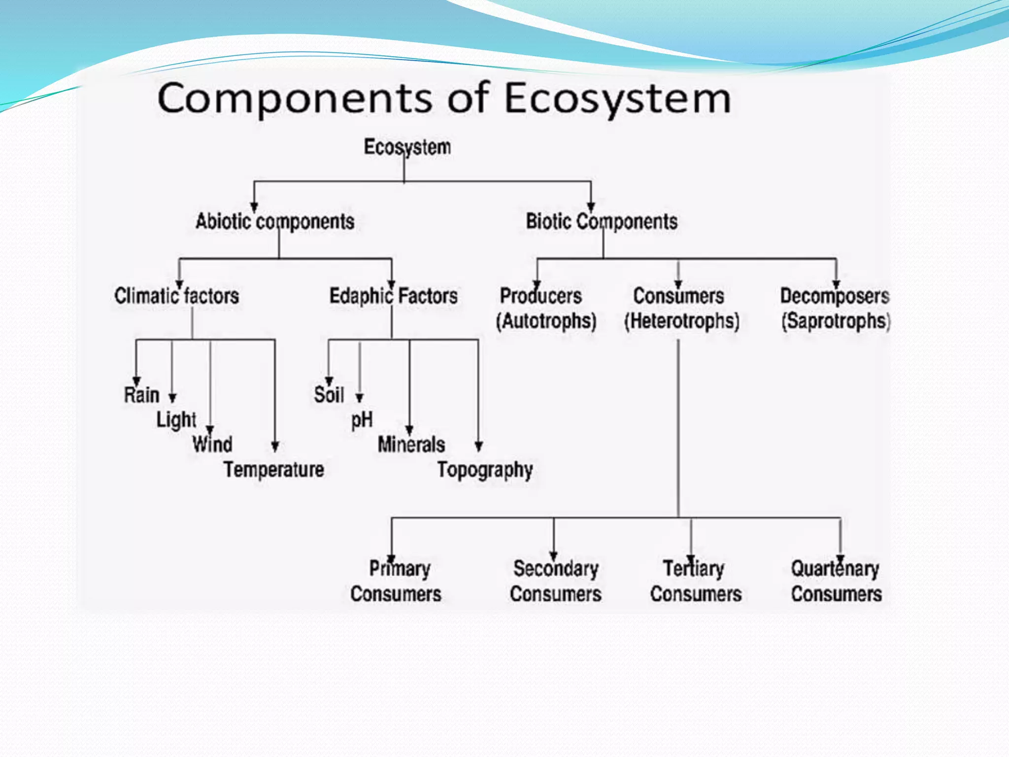 Agro ecosystem PPT (M.sc Zoology third semester) | PPTX