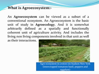 Agro ecosystem PPT (M.sc Zoology third semester) | PPTX