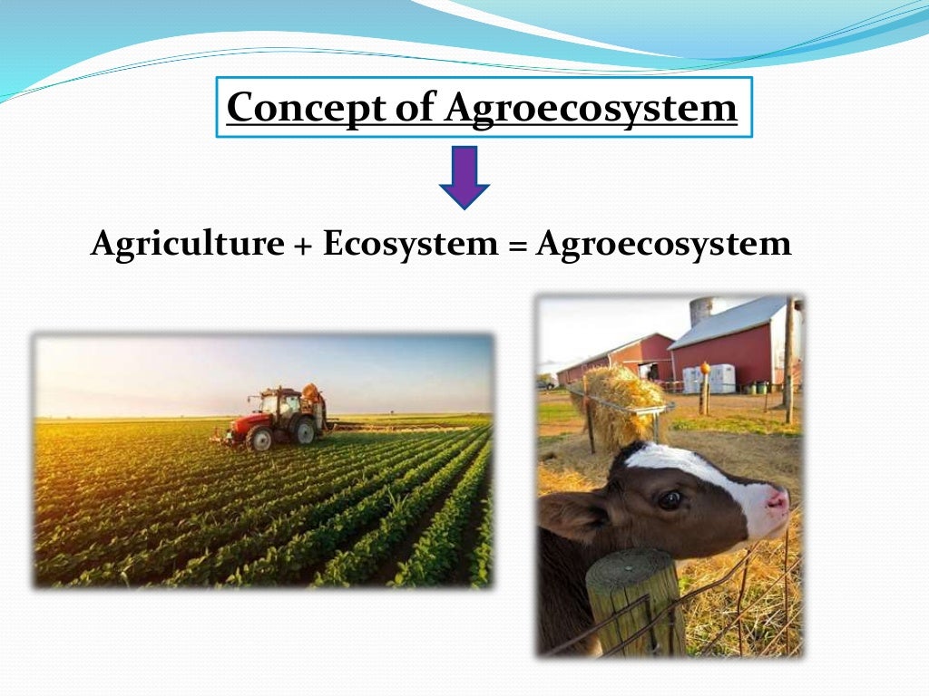 Agro ecosystem PPT (M.sc Zoology third semester)