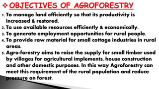 Agroforestry | PPTX