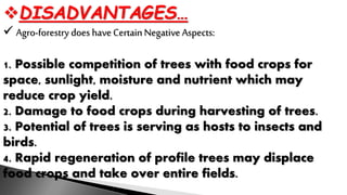 Disadvantages Of Agroforestry