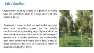 Agroforestry | PPTX