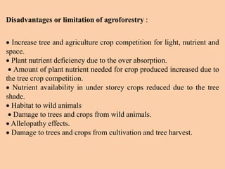 Agroforestry | PPTX | Agriculture | Industries