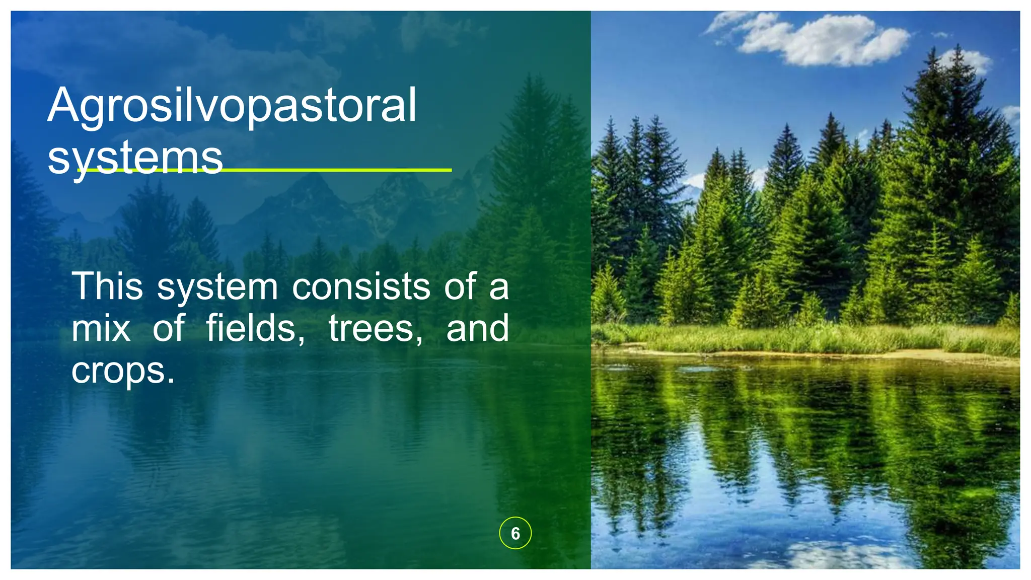 Introduction to Agroforestry in depth.pptx