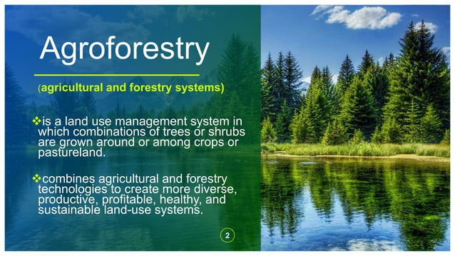 Introduction to Agroforestry in depth.pptx