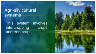 Introduction to Agroforestry in depth.pptx