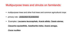 AGRO FORESTRY.pptx agriculture agro forest | PPTX