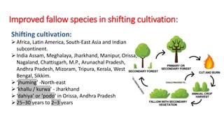 AGRO FORESTRY.pptx agriculture agro forest | PPTX