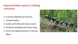 AGRO FORESTRY.pptx agriculture agro forest | PPTX