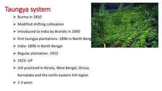 AGRO FORESTRY.pptx agriculture agro forest | PPTX