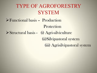 Agroforestry | PDF
