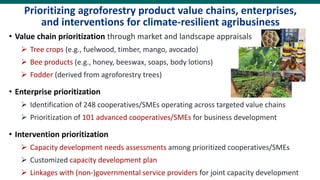 Agroforestry and benefits for GHG emissions reduction, resilience, and ...