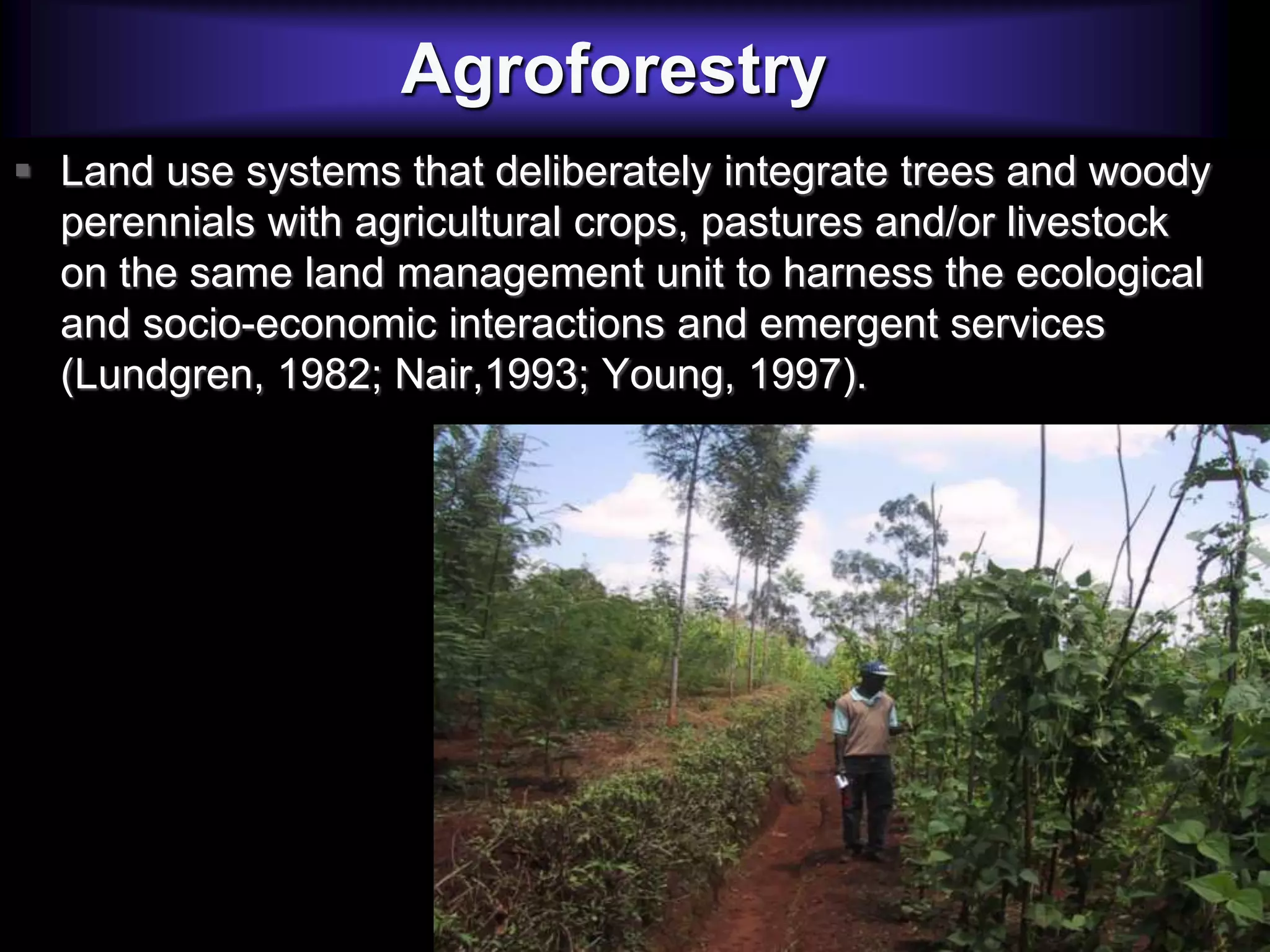 Agroforestry and carbon markets | PPTX
