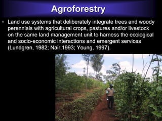 Agroforestry and carbon markets | PPTX