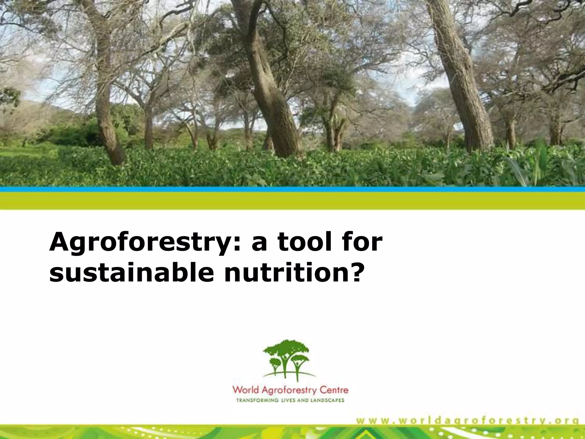 Malnutrition? Plant trees! | PPTX | Agriculture | Industries