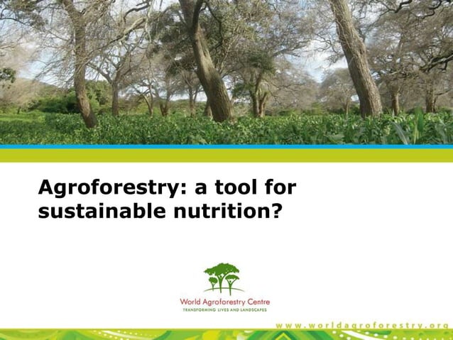 Malnutrition? Plant trees! | PPTX | Agriculture | Industries