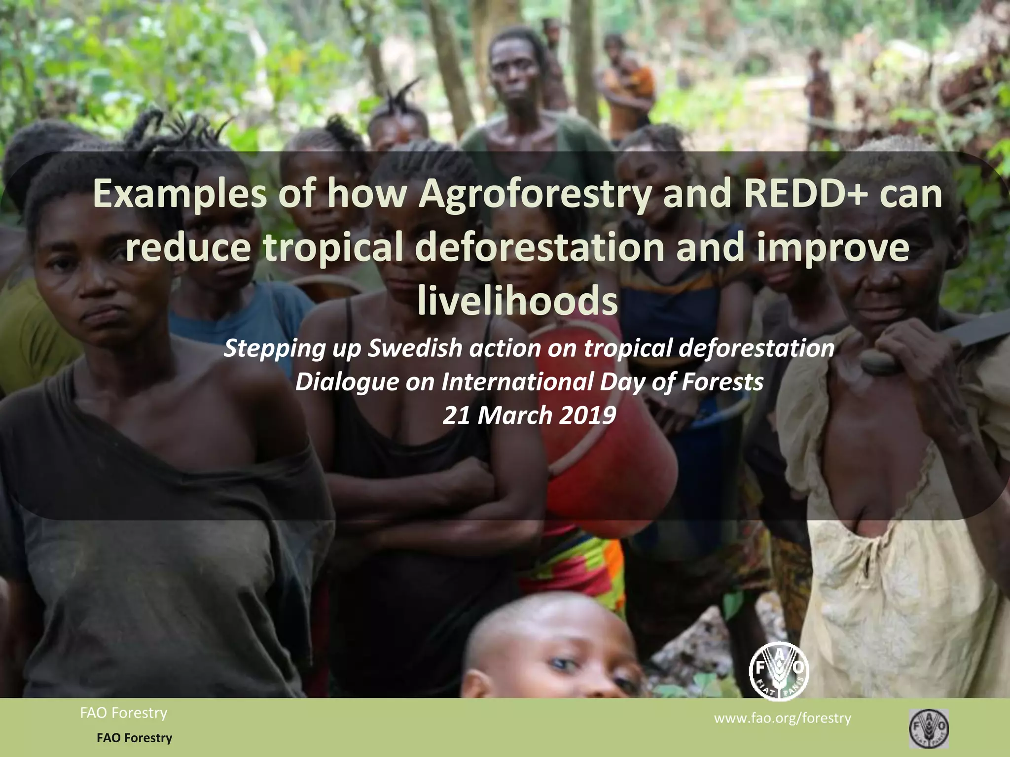 Examples of how Agroforestry and REDD+ can reduce tropical ...
