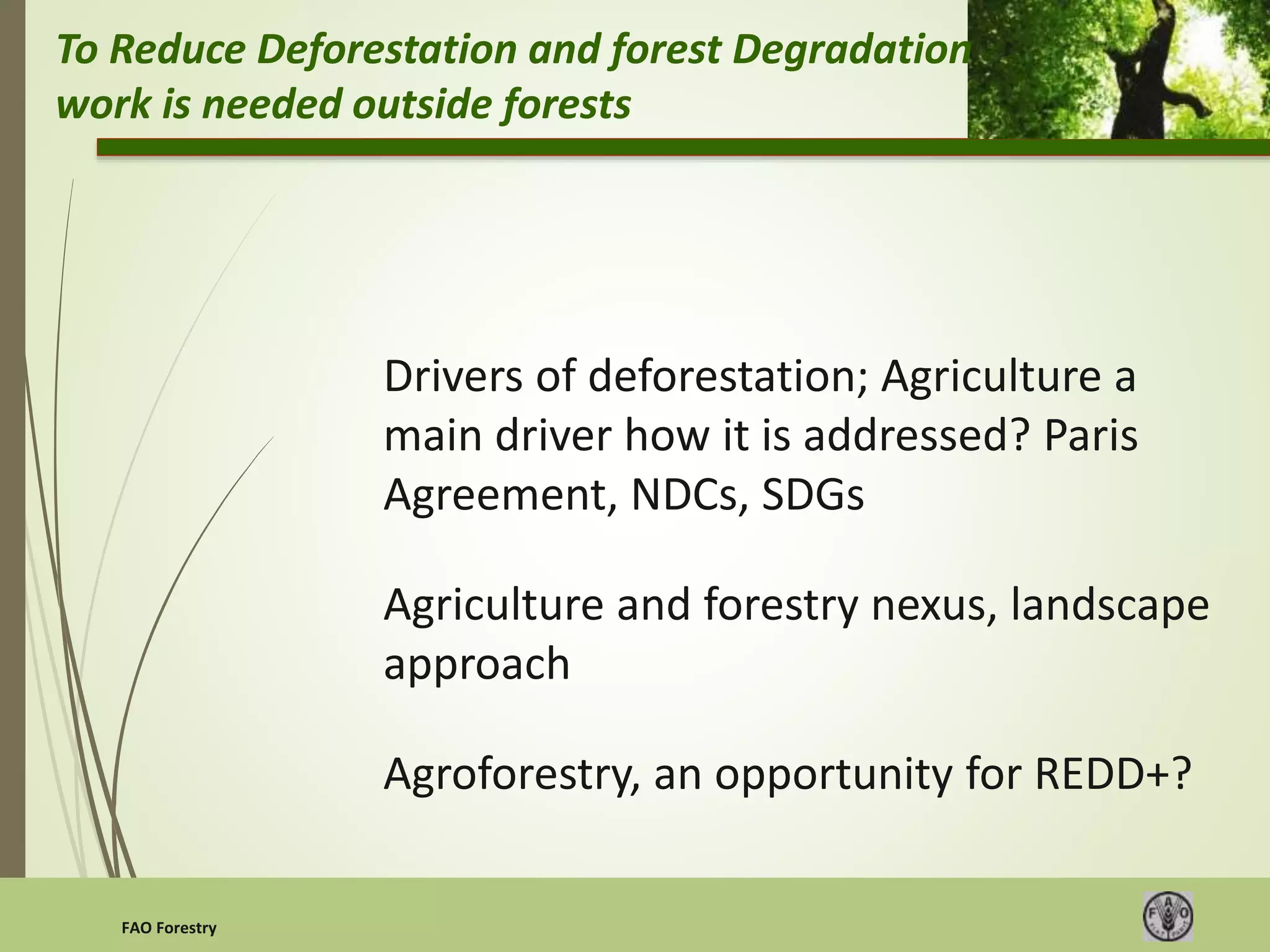 Examples of how Agroforestry and REDD+ can reduce tropical ...