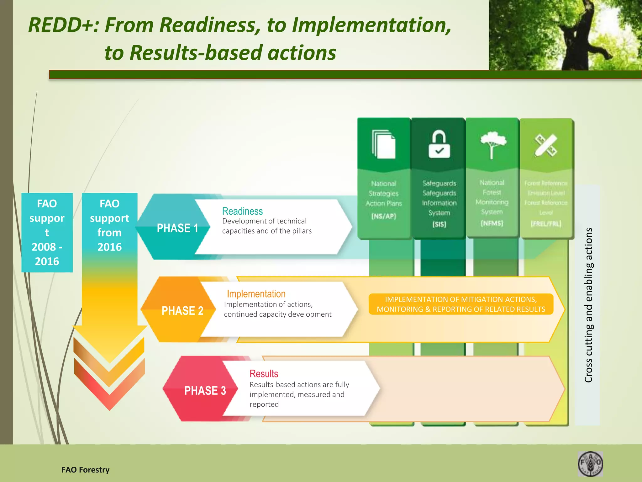 Examples of how Agroforestry and REDD+ can reduce tropical ...