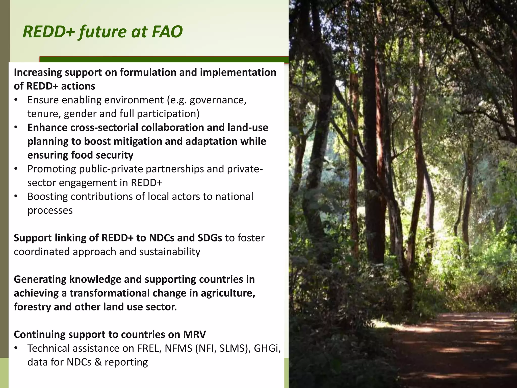 Examples of how Agroforestry and REDD+ can reduce tropical ...