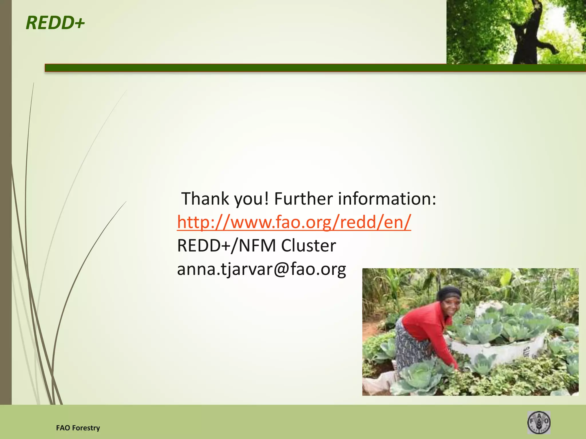 Examples of how Agroforestry and REDD+ can reduce tropical ...