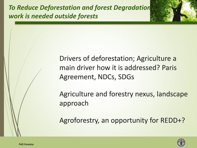 Examples of how Agroforestry and REDD+ can reduce tropical ...