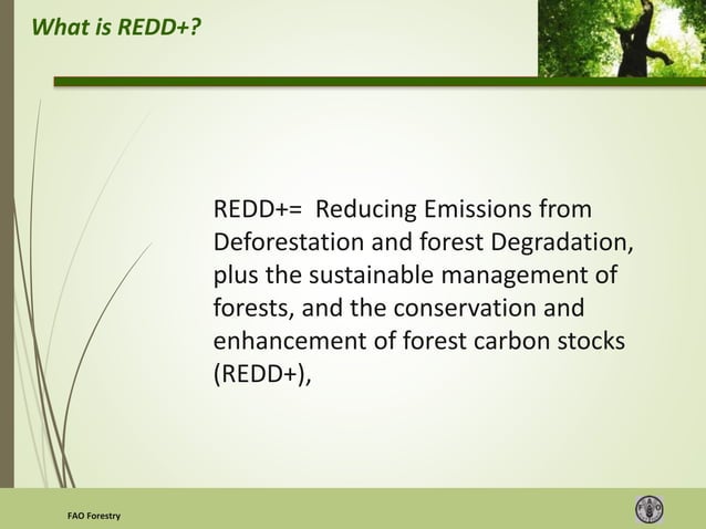 Examples of how Agroforestry and REDD+ can reduce tropical ...