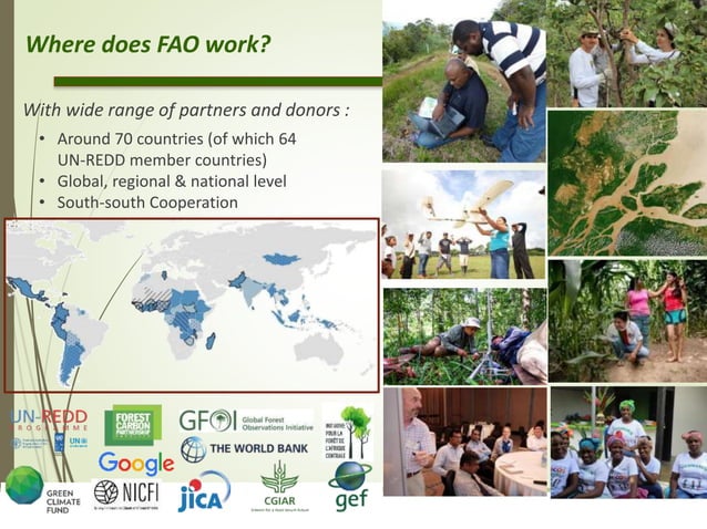 Examples of how Agroforestry and REDD+ can reduce tropical ...