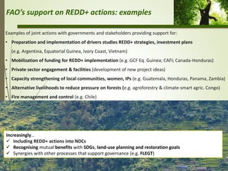Examples of how Agroforestry and REDD+ can reduce tropical ...