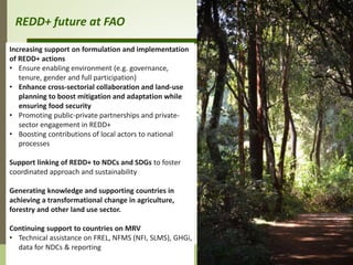 Examples of how Agroforestry and REDD+ can reduce tropical ...