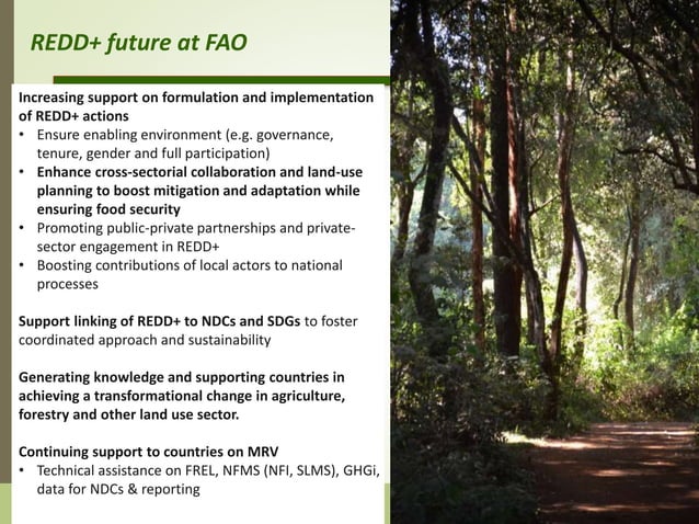 Examples of how Agroforestry and REDD+ can reduce tropical ...