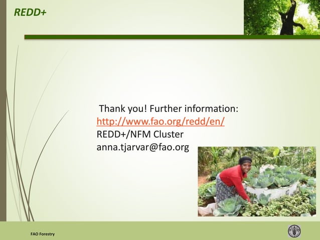 Examples of how Agroforestry and REDD+ can reduce tropical ...