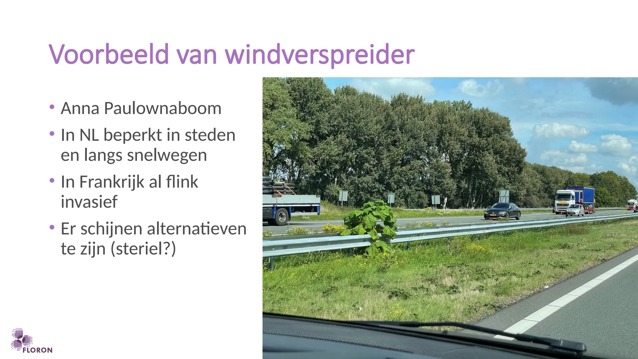 Risico van invasieve soorten binnen Agroforestry .pptx