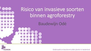 Risico van invasieve soorten binnen Agroforestry .pptx
