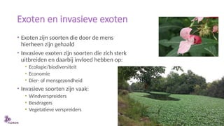 Risico van invasieve soorten binnen Agroforestry .pptx