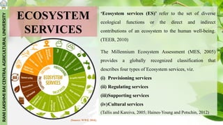 Agroforestry for Ecosystem Services.pptx