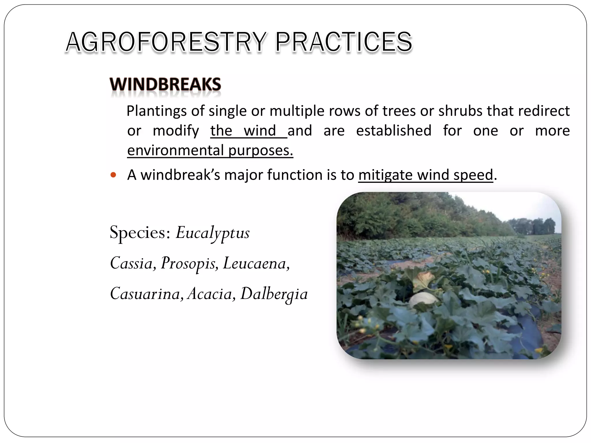 Agroforestry for livelihood support in rural area | PDF