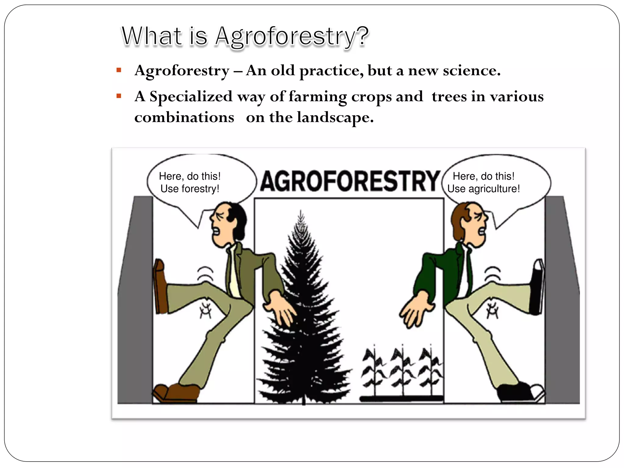 Agroforestry for livelihood support in rural area | PDF