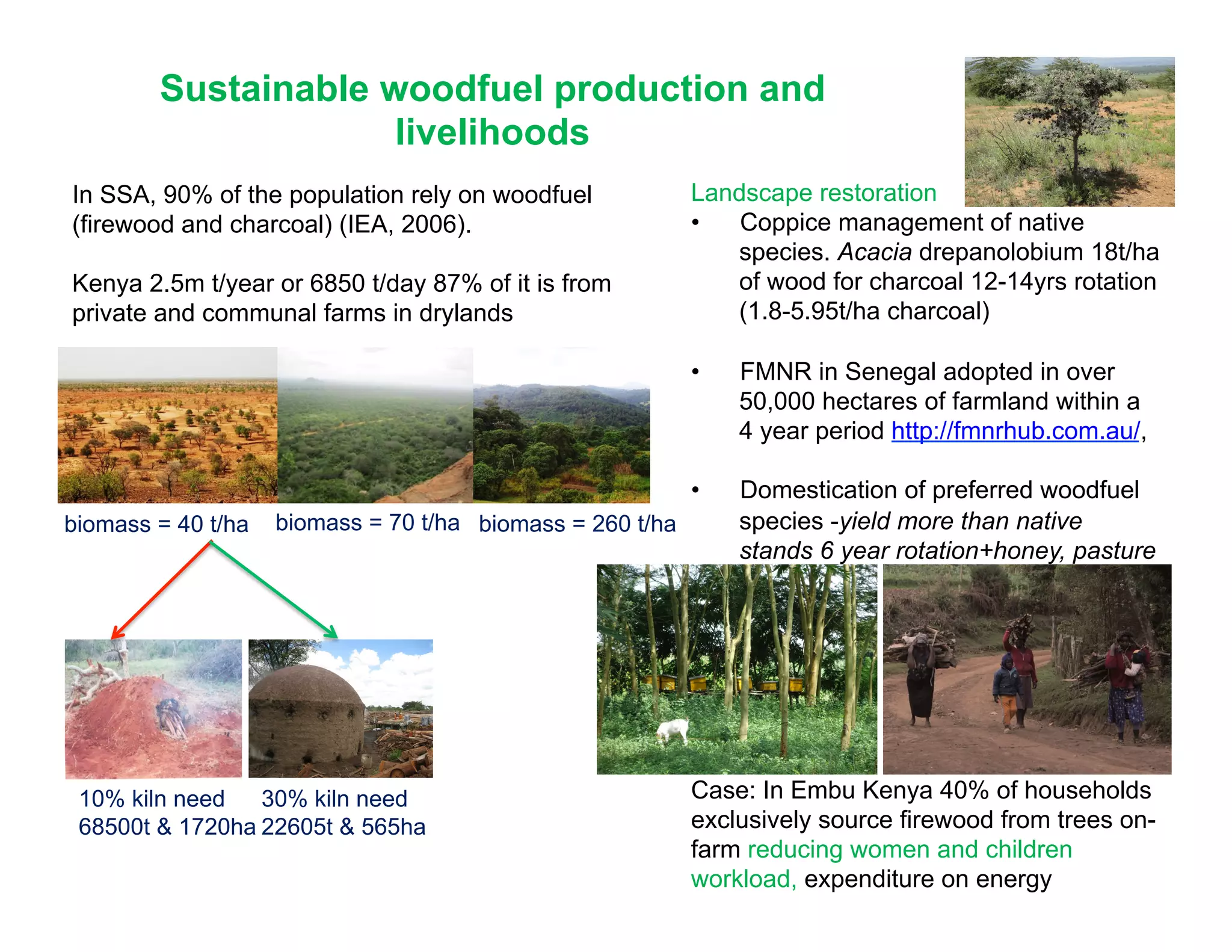 Agroforestry for sustainable wood energy | PDF | Woodworking | Arts and ...