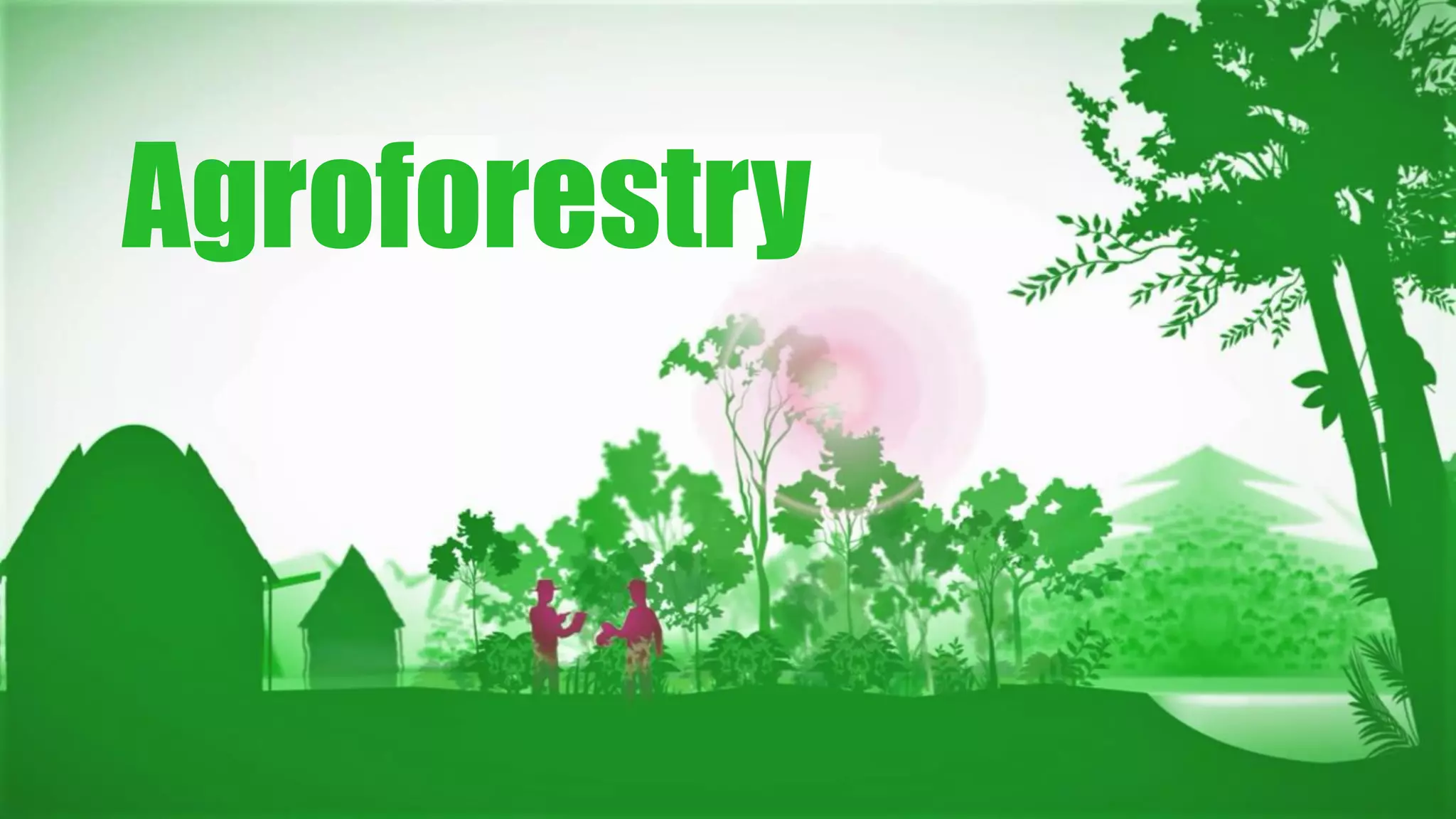 Agroforestry in bangladesh | PDF