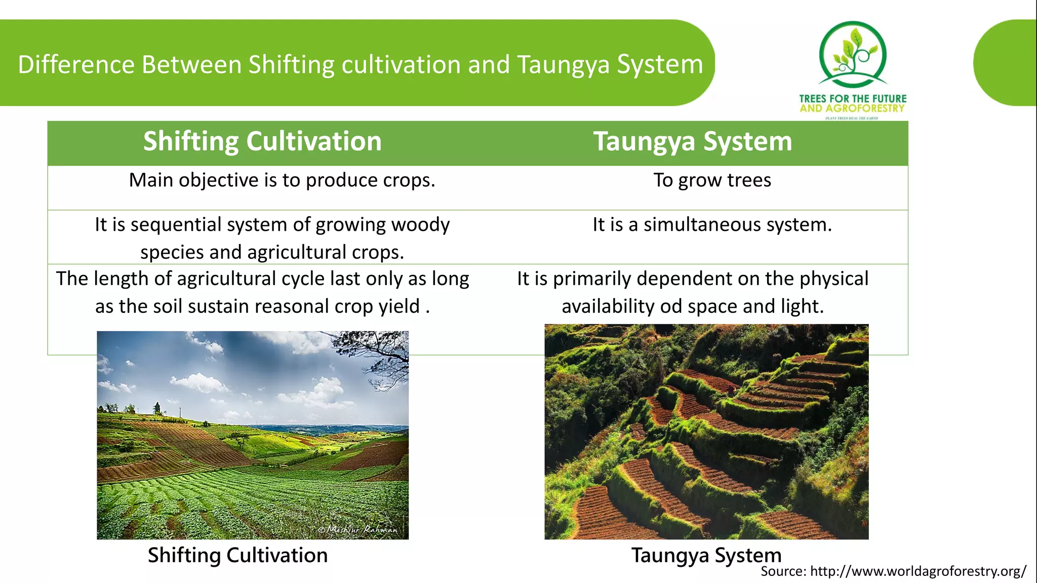 Agroforestry in bangladesh | PDF